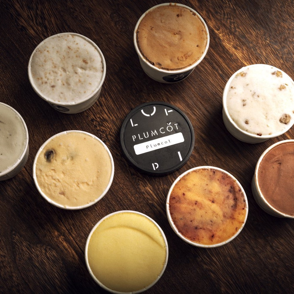 Artisanal Ice Cream – PLUMCOT